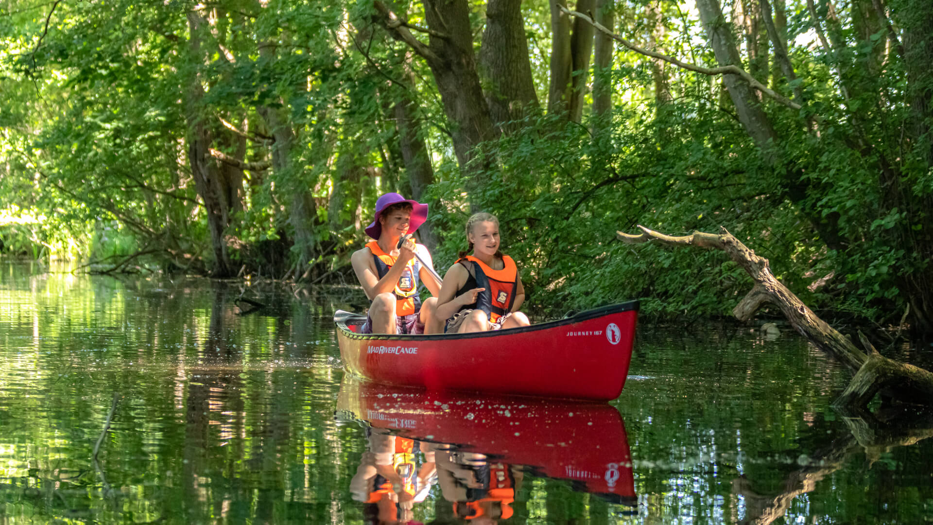 Jugendwaldheim Loppin - Wald-MV